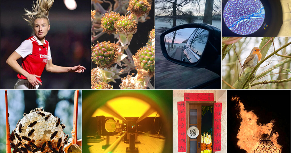 Winning photographs capture a wonderful variety of STEM-related ...